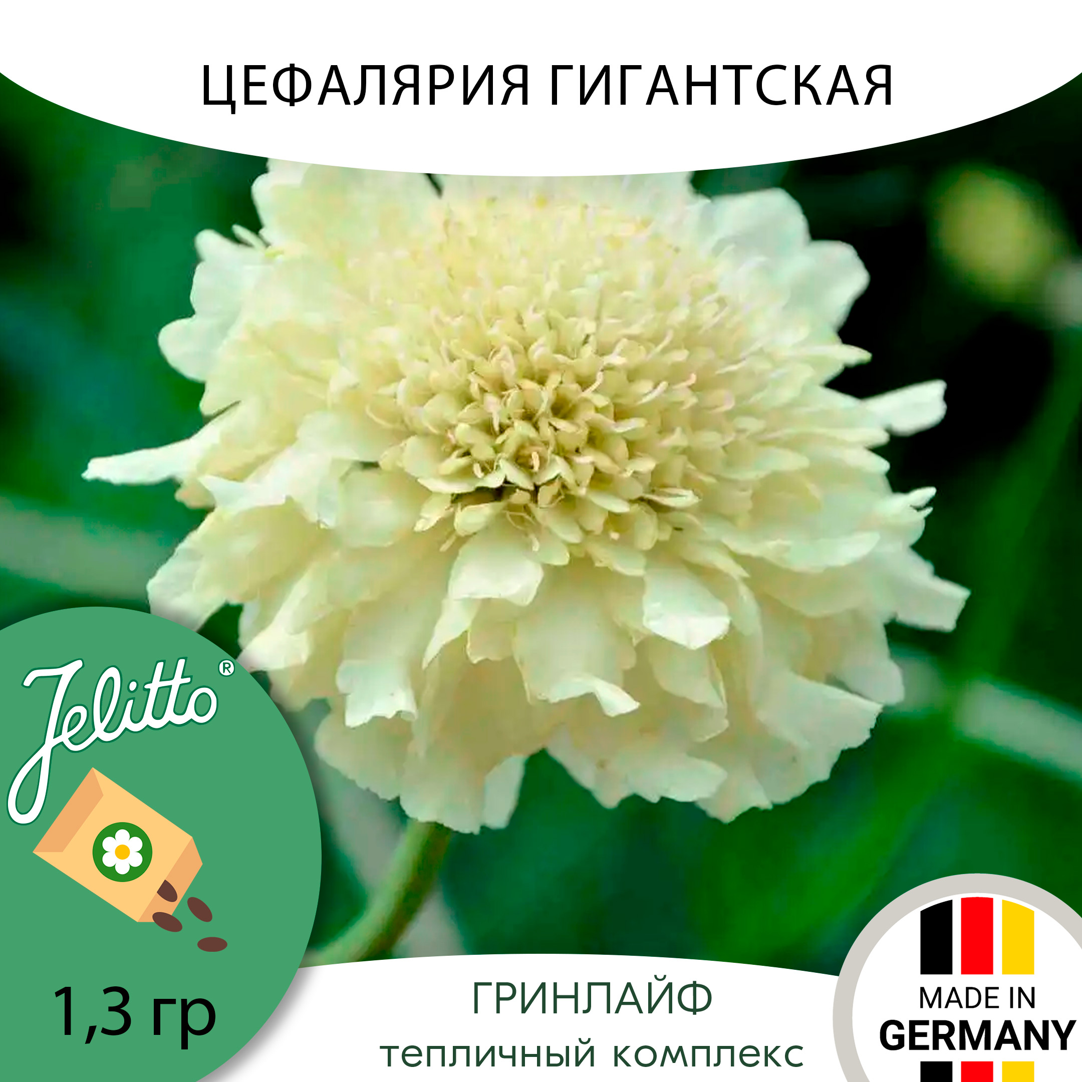 Jelitto Цефалярия, 1.3 г - купить с бесплатной доставкой в OZON ...