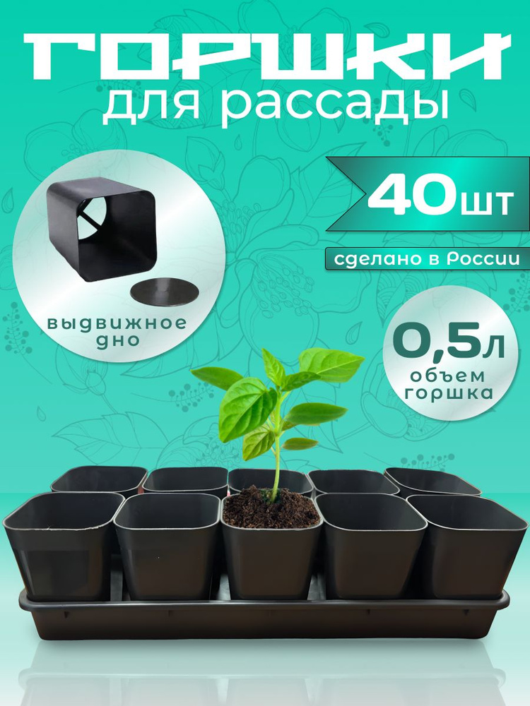 Набор для рассады купить на OZON по низкой цене (1417223149)