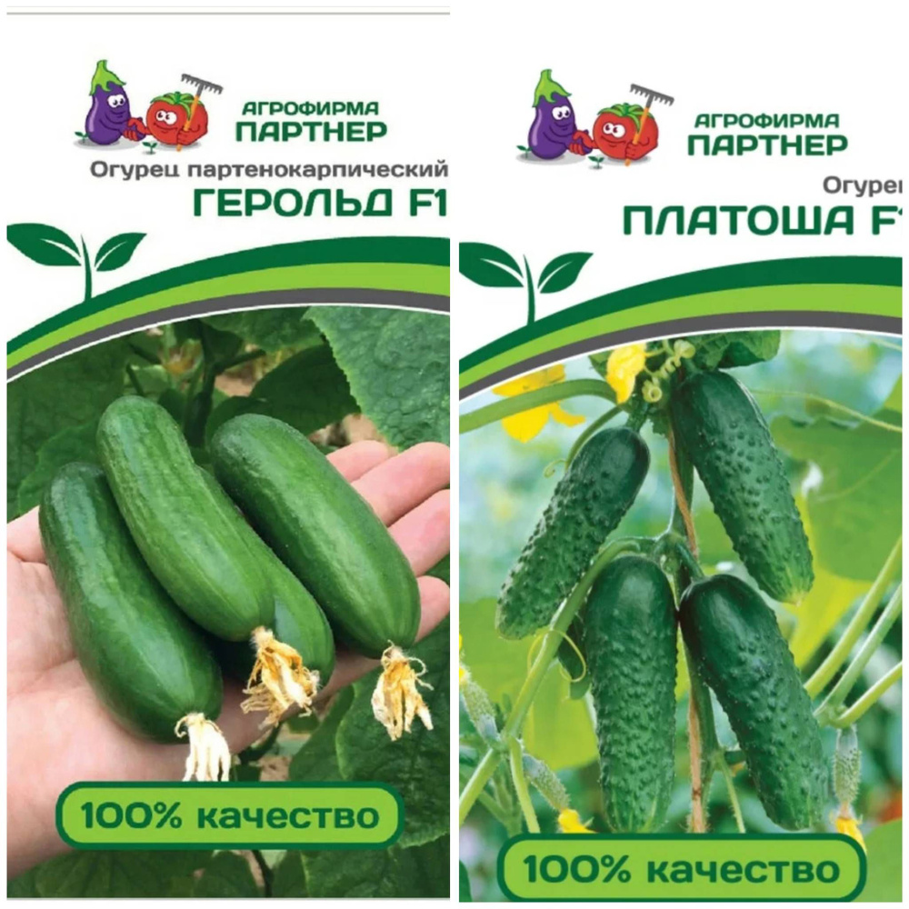 Огурцы Агрофирма Партнер №8 - купить по выгодным ценам в интернет ...