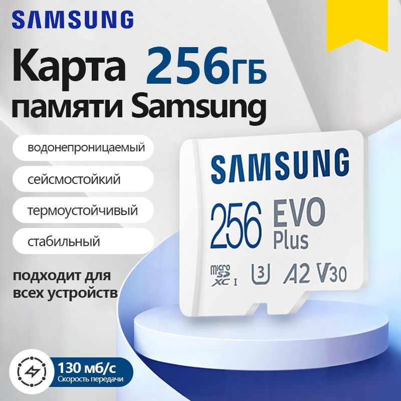 Samsung Карта памяти EVO Plus 256 ГБ (MB-MC256KA/CN) - купить с ...