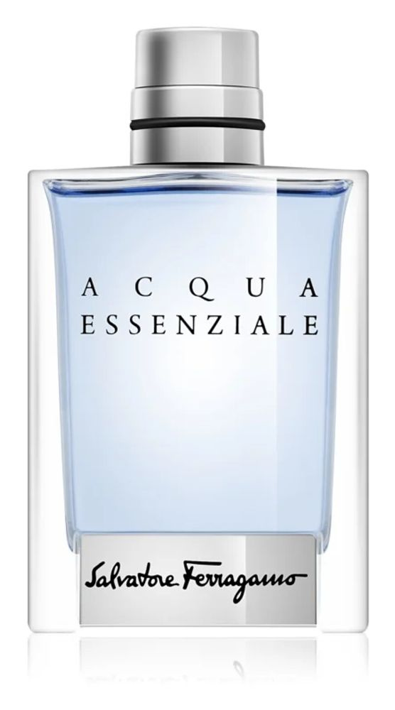 Salvatore Ferragamo VMA266632 Туалетная вода 100 мл (1557479153)