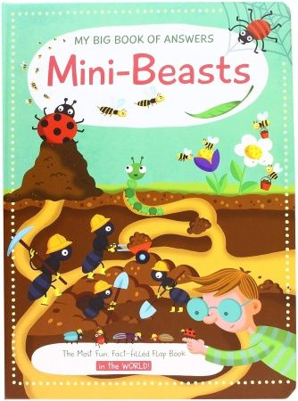 My Big Book of Answers: Mini-Beasts - купить с доставкой по выгодным ценам в интернет-магазине ...