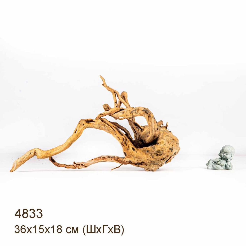 Коряга для аквариума натуральная. Корень Азалии - M. Декорация MASHA ...