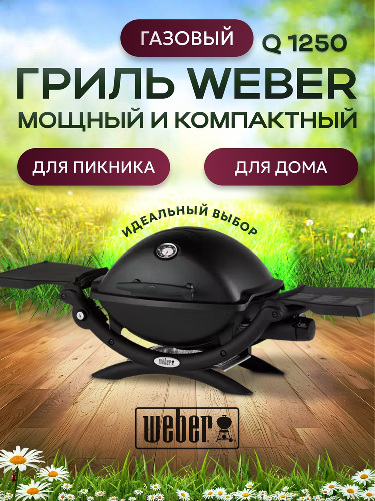 Газовый гриль Weber Q1250 Black купить на OZON по низкой цене (3030166268)