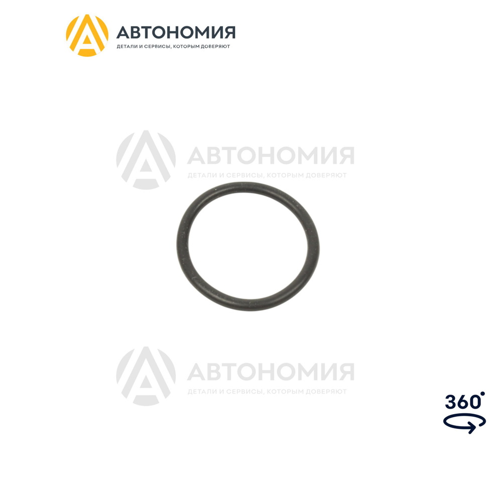 Кольцо уплотнительное 19х2 VAG (VW/Audi/Skoda/Seat) N 909 032 01 купить ...