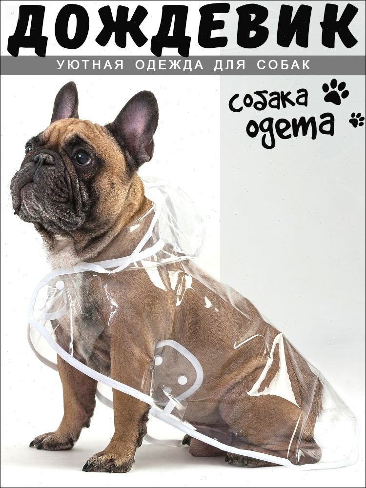 дождевик для собак крупных пород 6XL белый купить на OZON по низкой цене (2951943740)