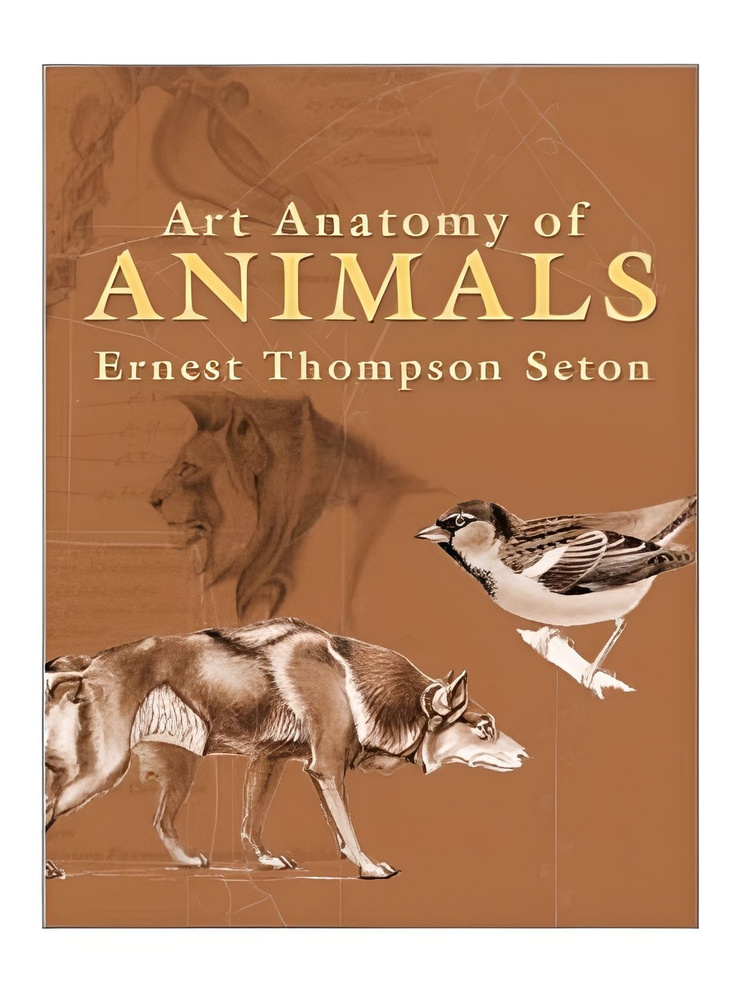 Art Anatomy of Animals Ernest Thompson Seton купить на OZON по низкой ...