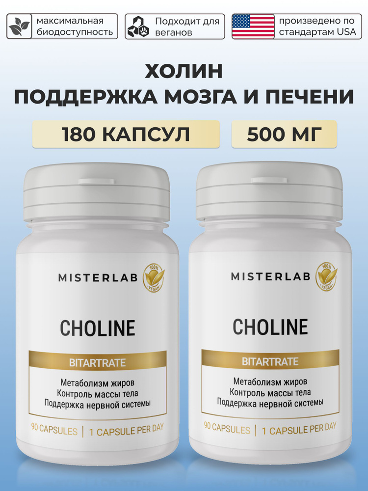 Холин 500мг, Витамин В4, для памяти внимания, choline bitartrate, 180 ...