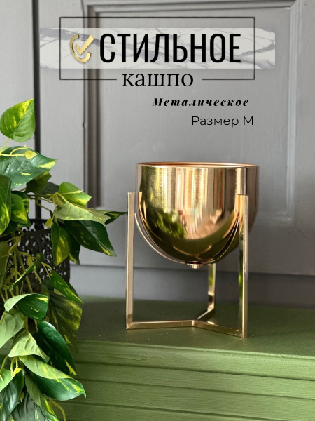 FOREVER FLOWERS Кашпо, 23 см х 18 см, 2 л, 1 шт купить на OZON по низкой цене (2001435747)