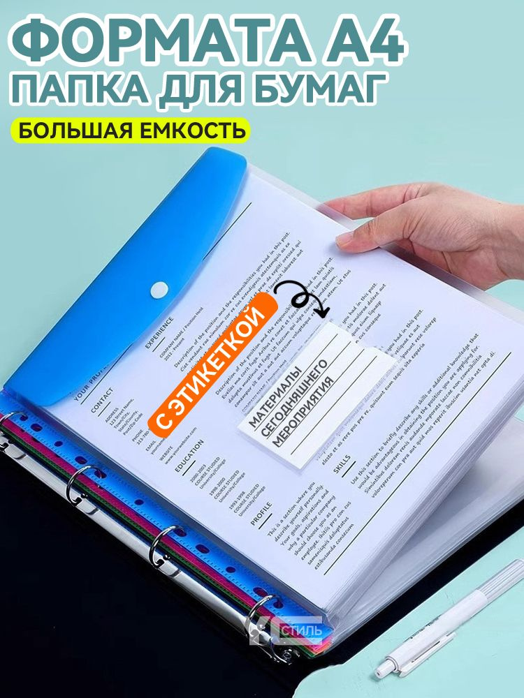 Папка-вкладыш A4 (21 × 29.7 см), 3 шт. купить на OZON по низкой цене (2831843005)