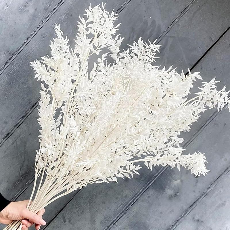 Dance of Flowers Сухоцветы купить на OZON по низкой цене (3122343169)