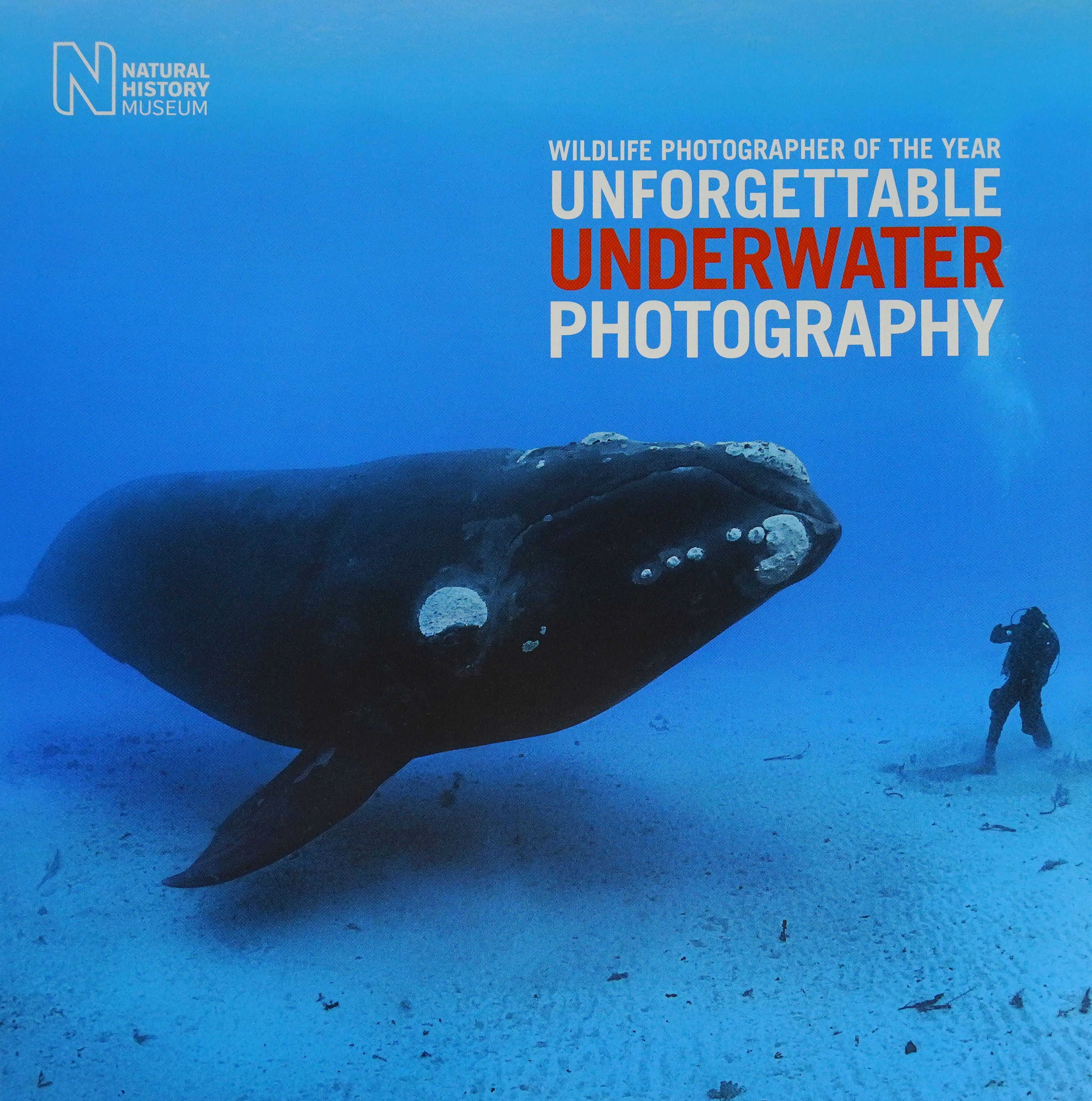 Wildlife Photographer Of The Year: Unforgettable Underwater Photography ...
