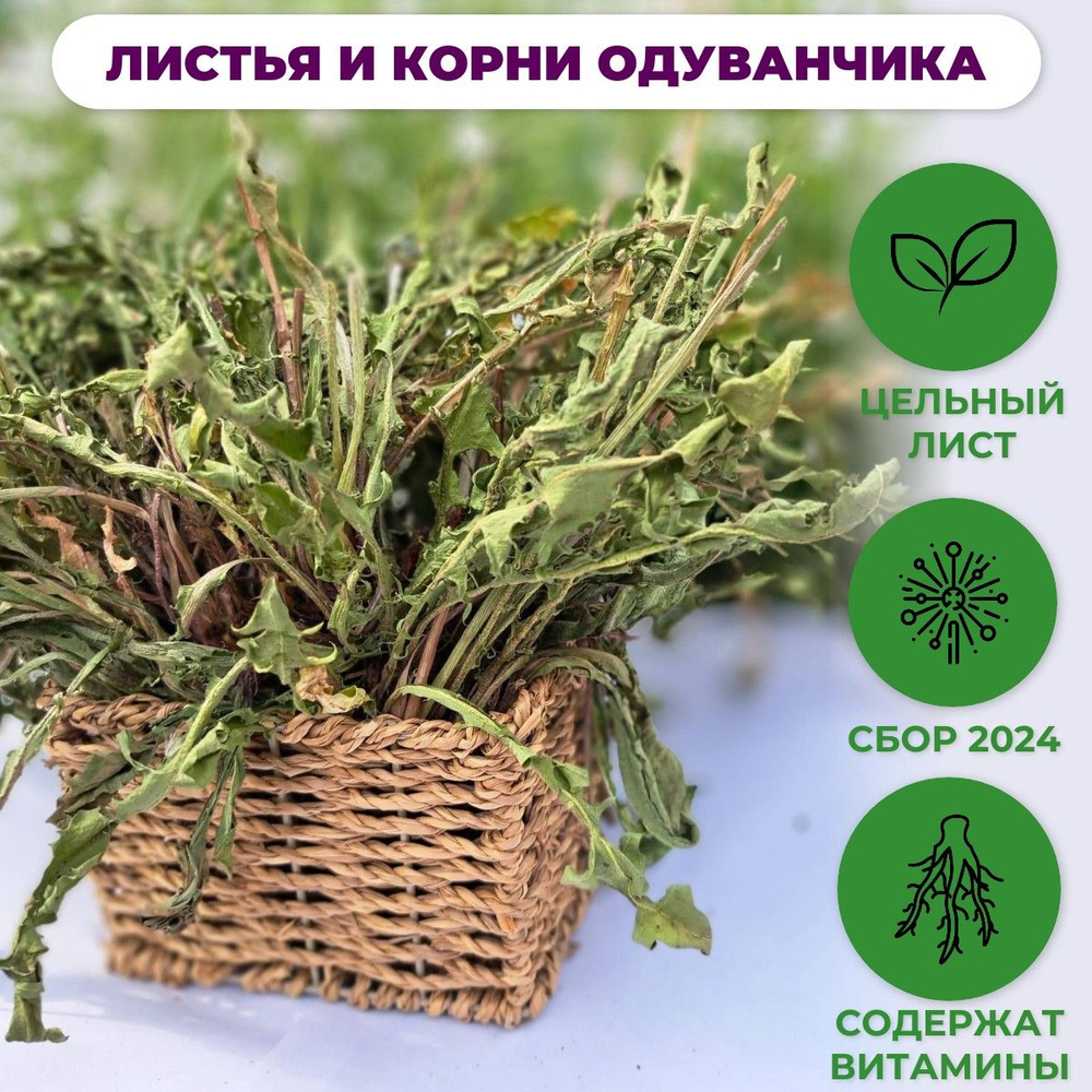 Сушеные листья и корни одуванчика, лакомство для грызунов, 80 гр купить ...