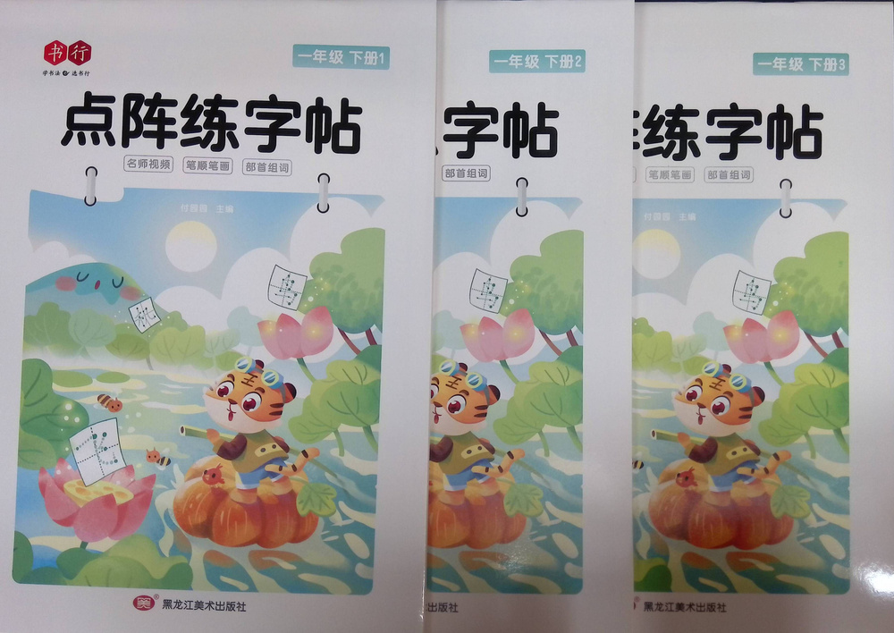 Комплект из 3 книг: Dot matrix calligraphy copybook for first graders ...