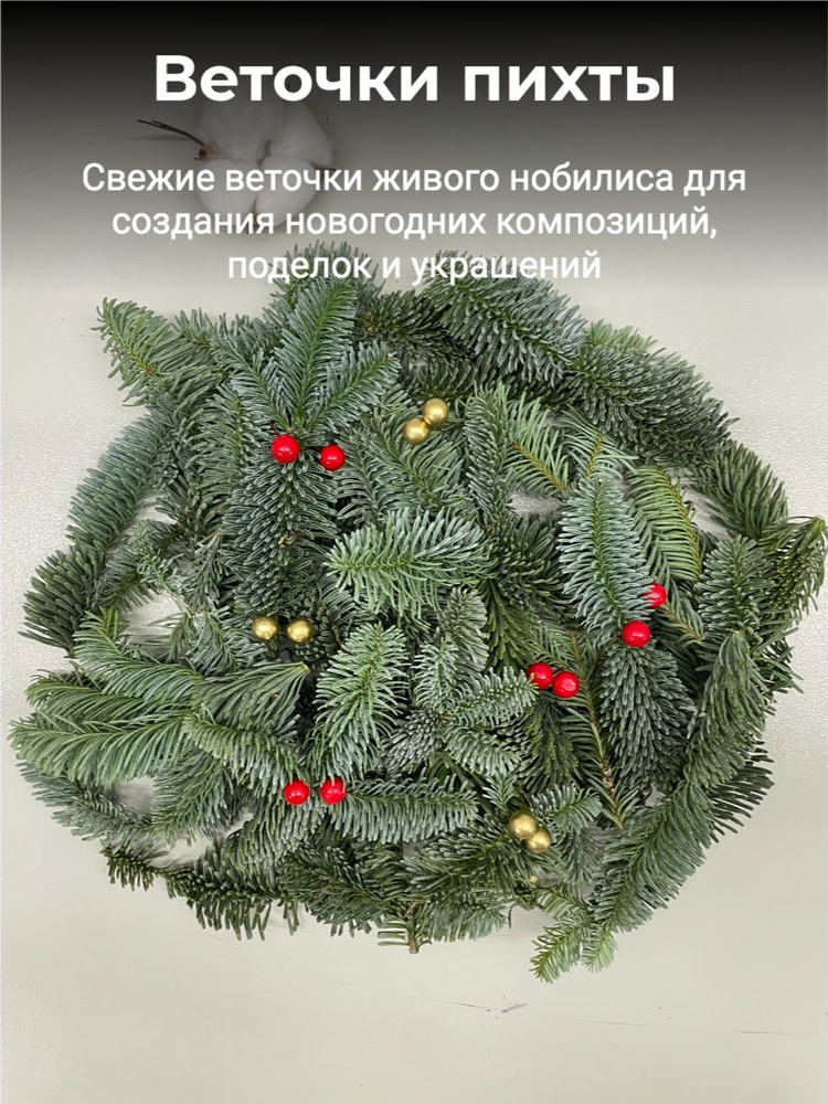 Елка живая нобилис купить на OZON по низкой цене