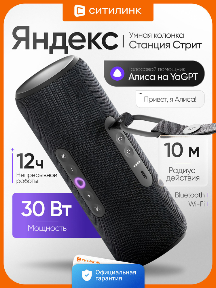 Умная колонка Яндекс Станция Стрит YNDX-00030BLK с Алисой YaGPT, Bluetooth, Wi-Fi, 30Вт, IP67 ...