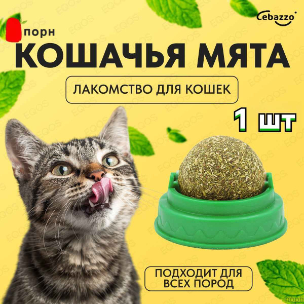 nopH-Игрушка для животных купить на OZON по низкой цене (2748601040)