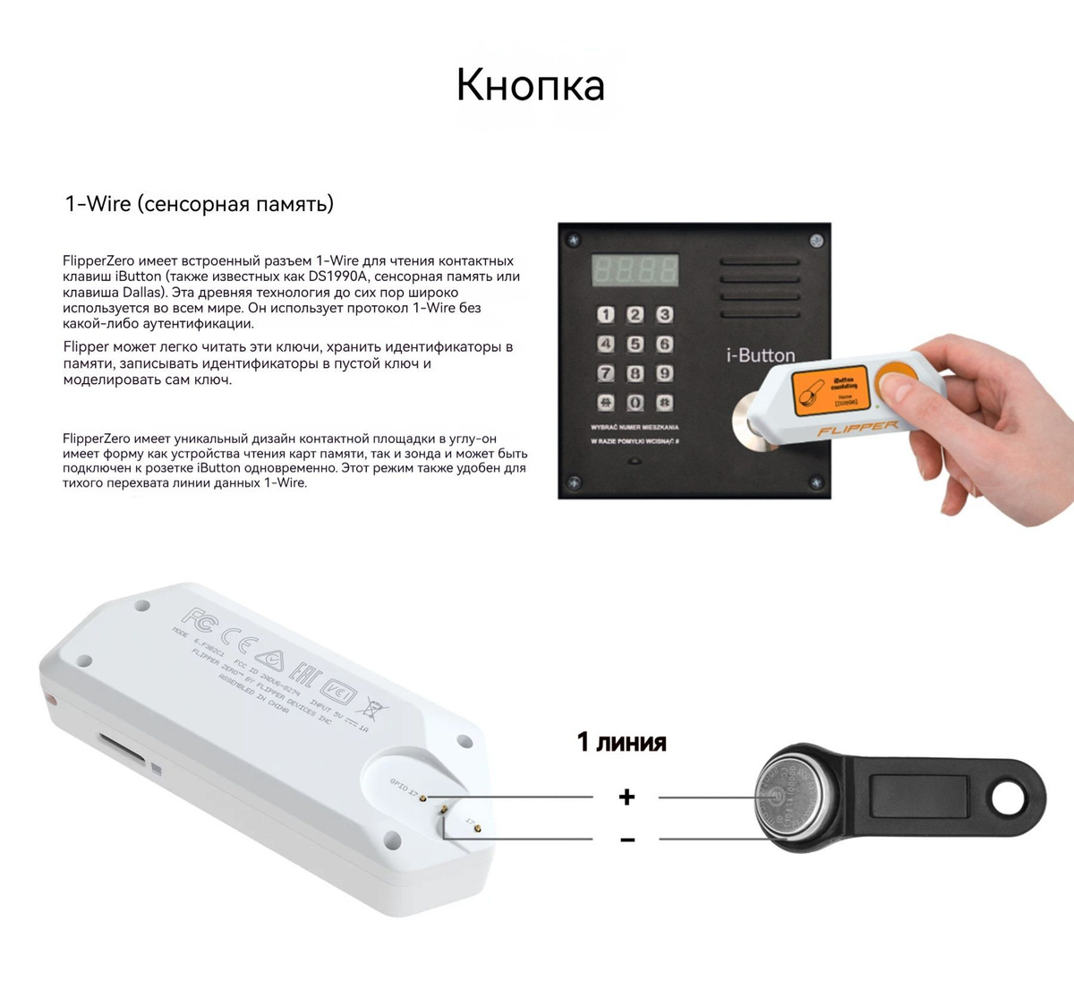 Flipper Zero host, маленький дельфин, портативное многофункциональное устройство купить на OZON ...