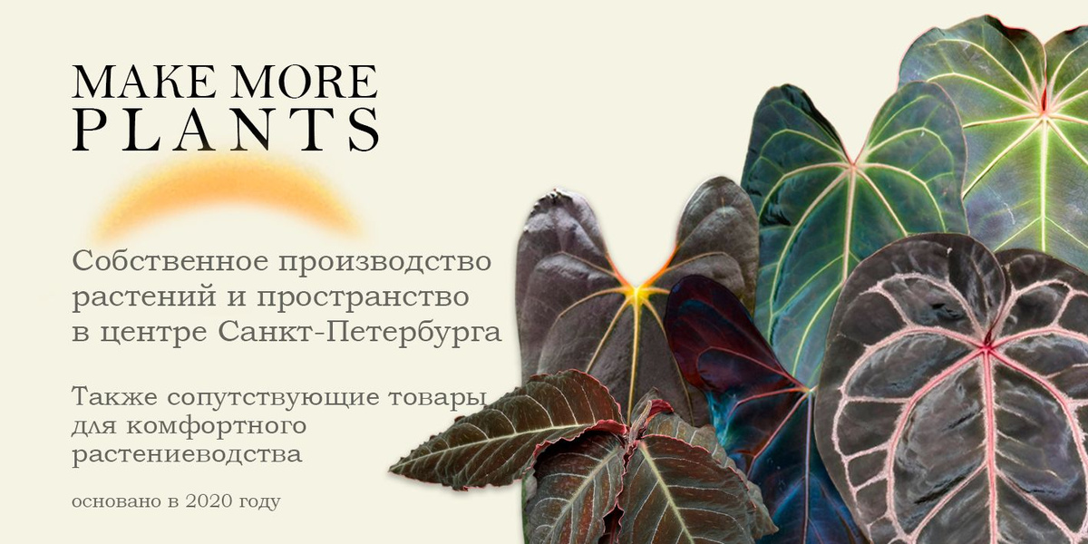 Питательный раствор Growth Technology Clonex Mist Concentrate 30ml купить на OZON по низкой цене ...