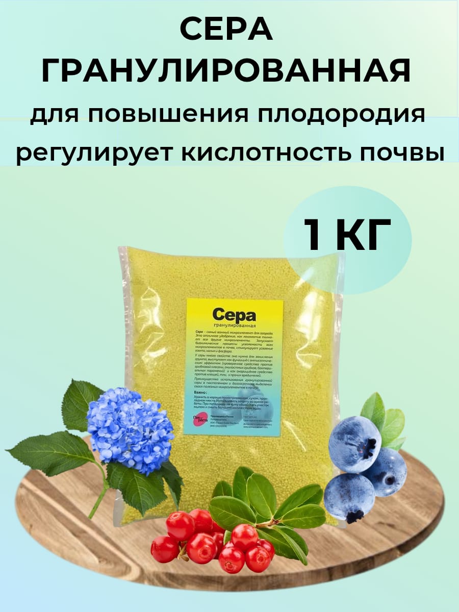  1 OZON