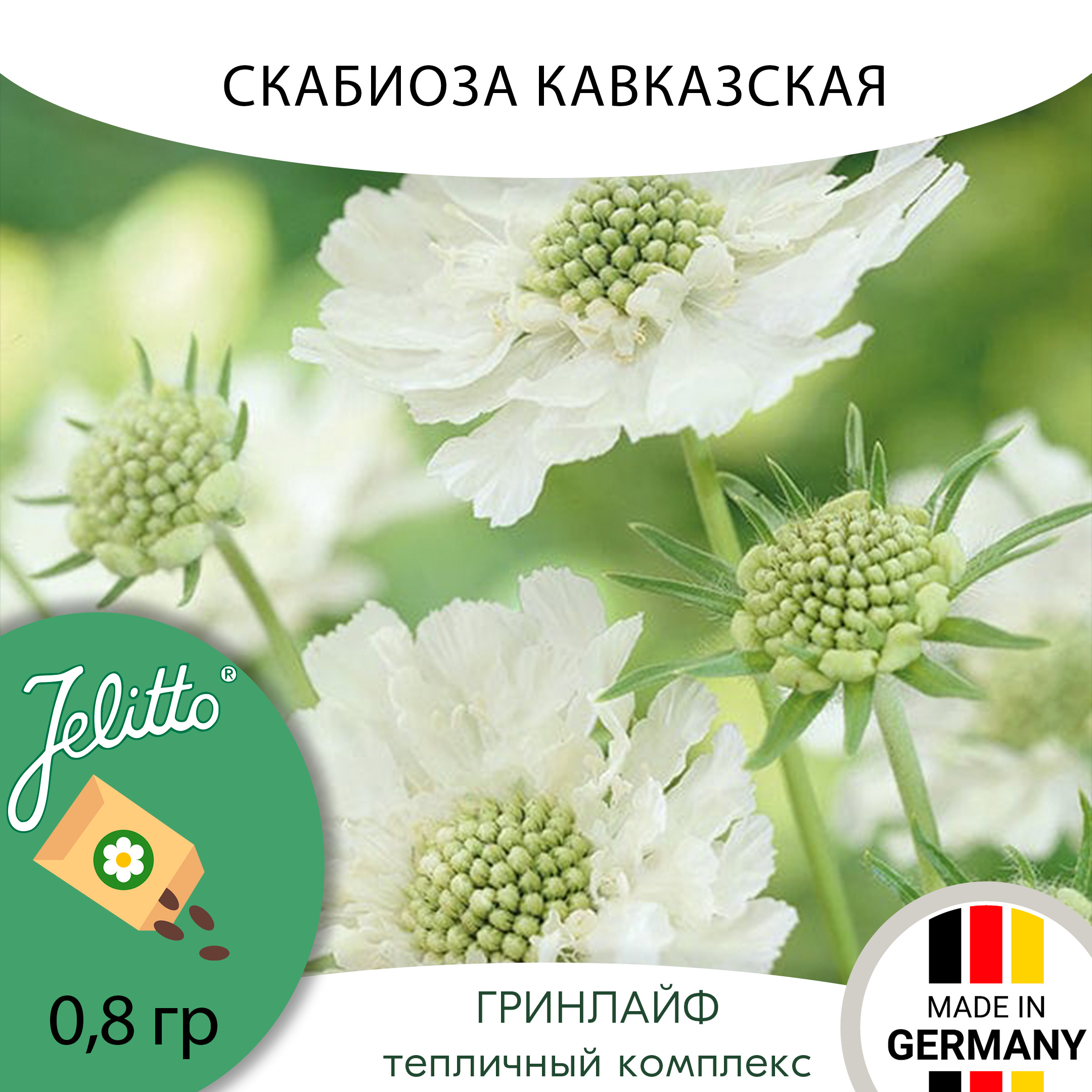 Jelitto Скабиоза кавказская_ST246, 0.8 г - купить с бесплатной ...