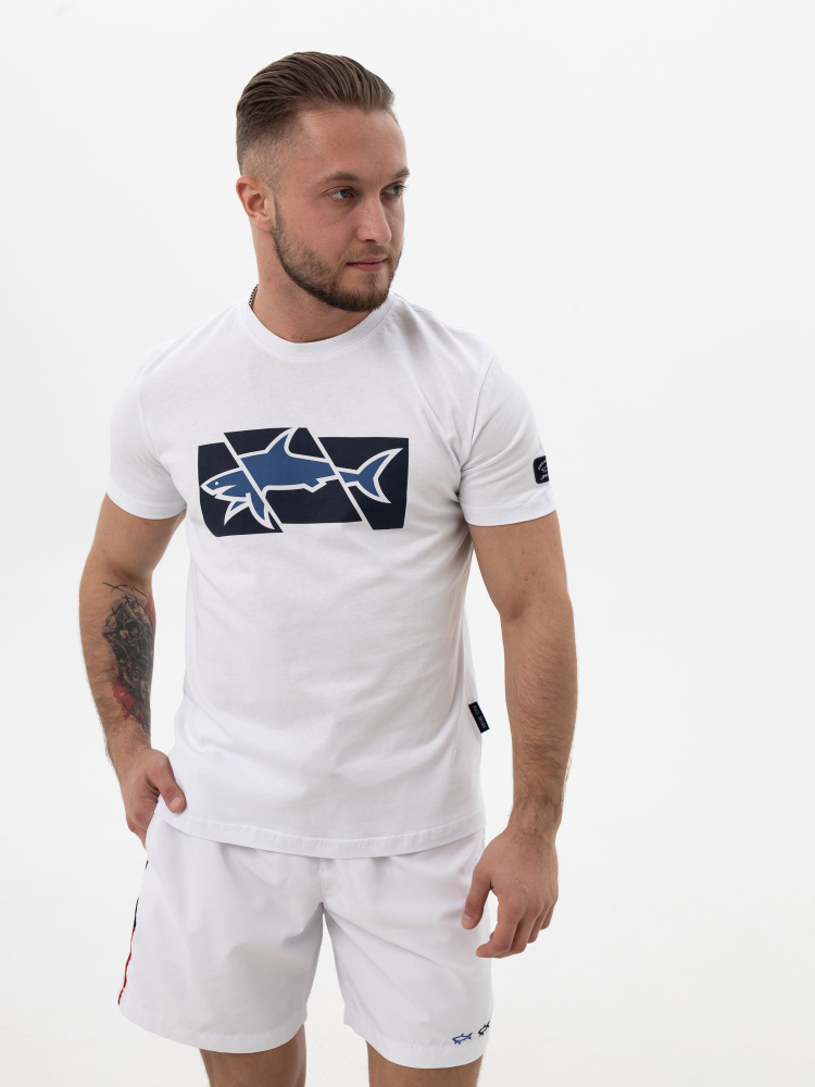 Футболка Paul&Shark, размер 52, цвет белый, хлопок 100% - купить по ...