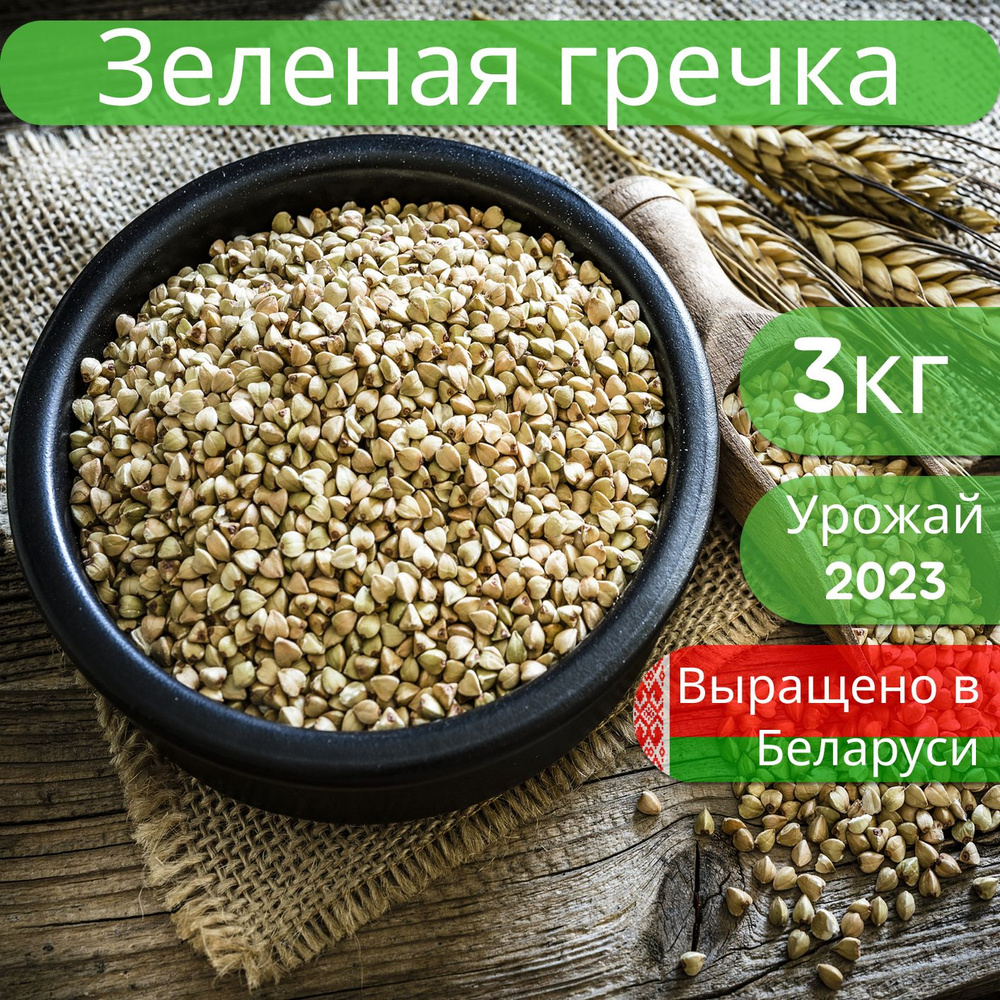 Зеленая гречка "Алеся" для каш и проращивания, 3кг - купить с доставкой ...
