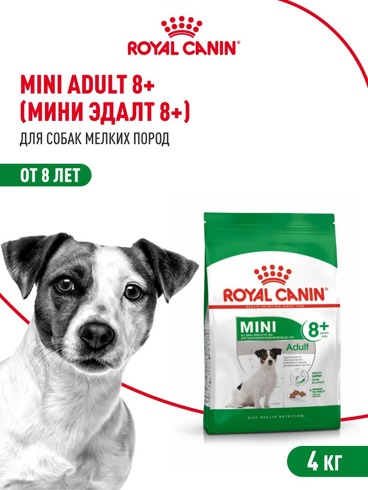 Сухой корм для собак мелких пород Royal Canin Mini Adult 8+ , 4 кг ...
