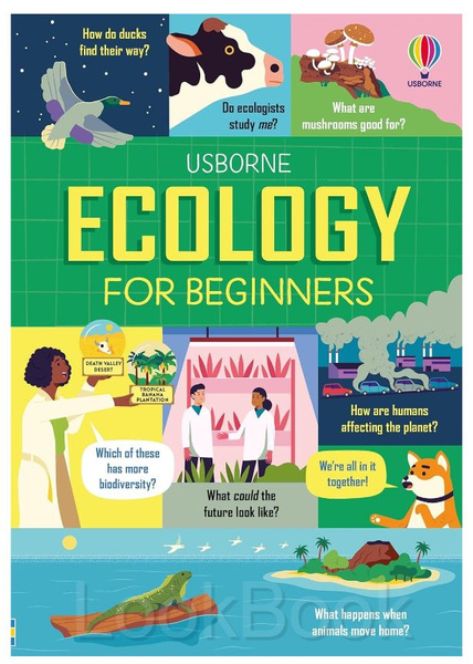 Usborne book ...for Beginners / Асборн ...для начинающих / Книга ...