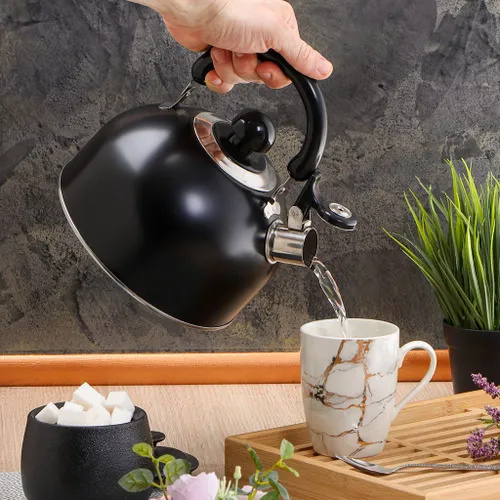 Чайник "daniks чайник для плиты", 2.5 л купить на OZON по низкой цене (2998235669)