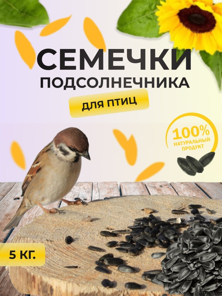 Семечки подсолнуха сырые неочищенные, корм для лесных и парковых птиц ...