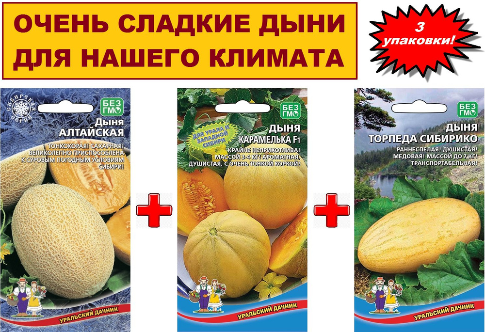 Дыни Уральский дачник Набор семян дыни (3 упаковки): Карамелька F1 ...