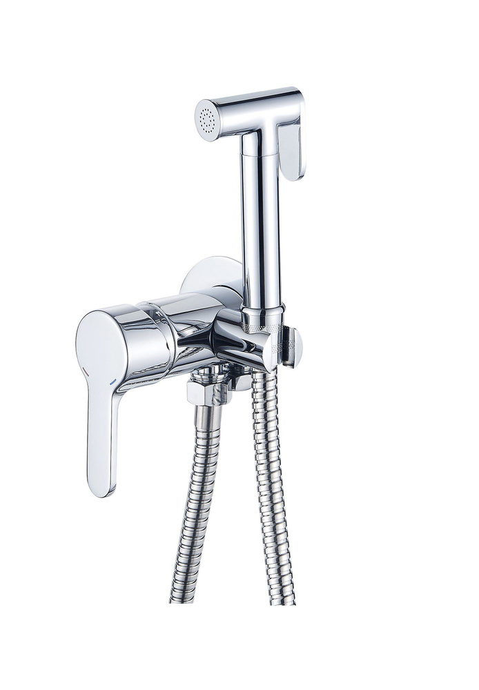 Смеситель встраиваемый ESKO SMH01 однозахватный, с гигиеническим душем ...