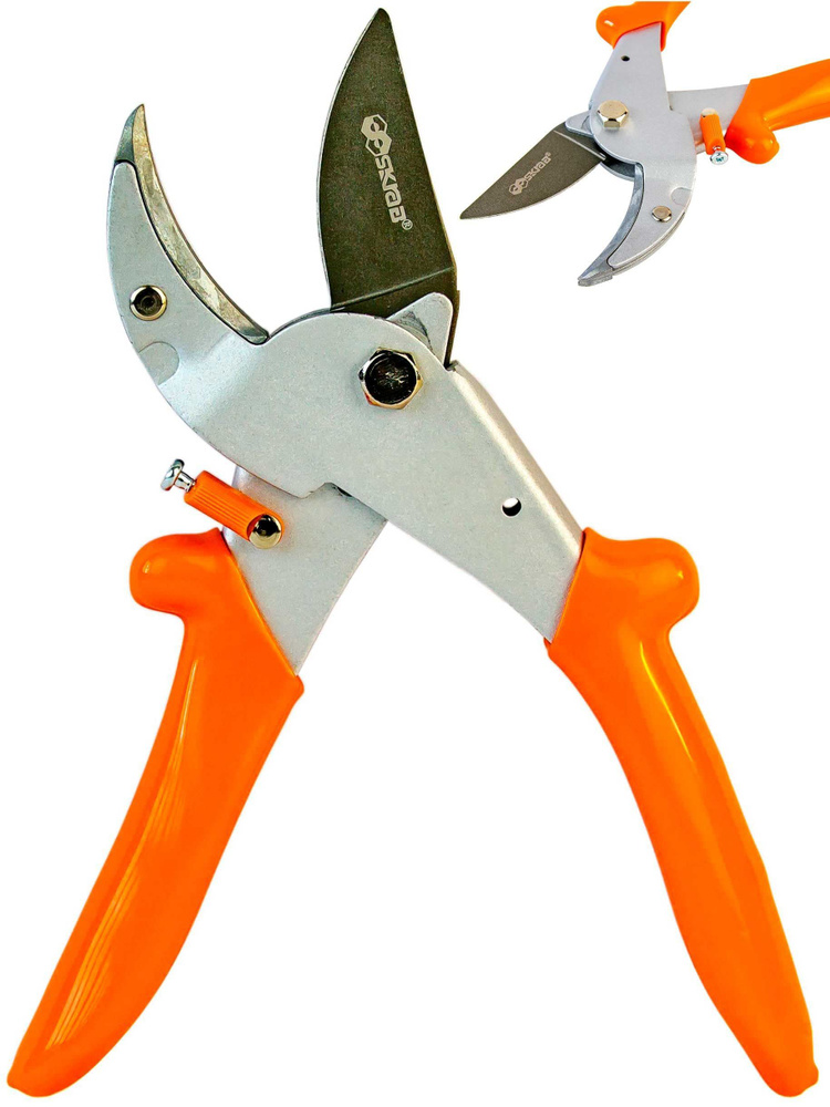 Секатор DENCO store Skrab DENCO Секаторы_28354_36529 - купить по выгодным ценам в интернет ...