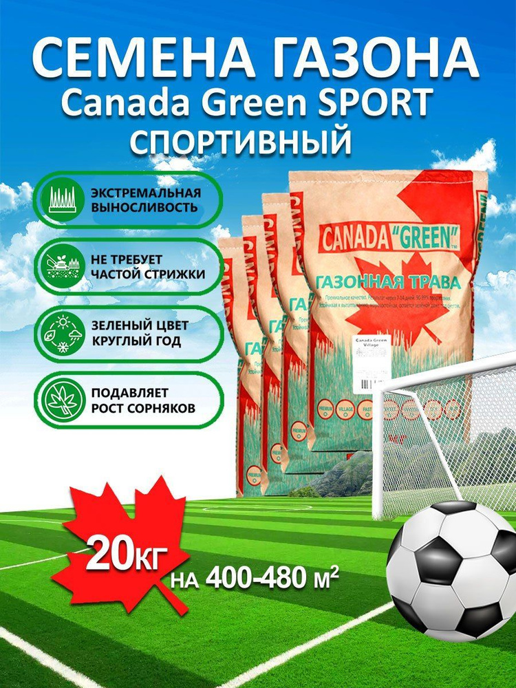 Газонные травы, Различные травы Canada Green Газон Спортивный - купить ...