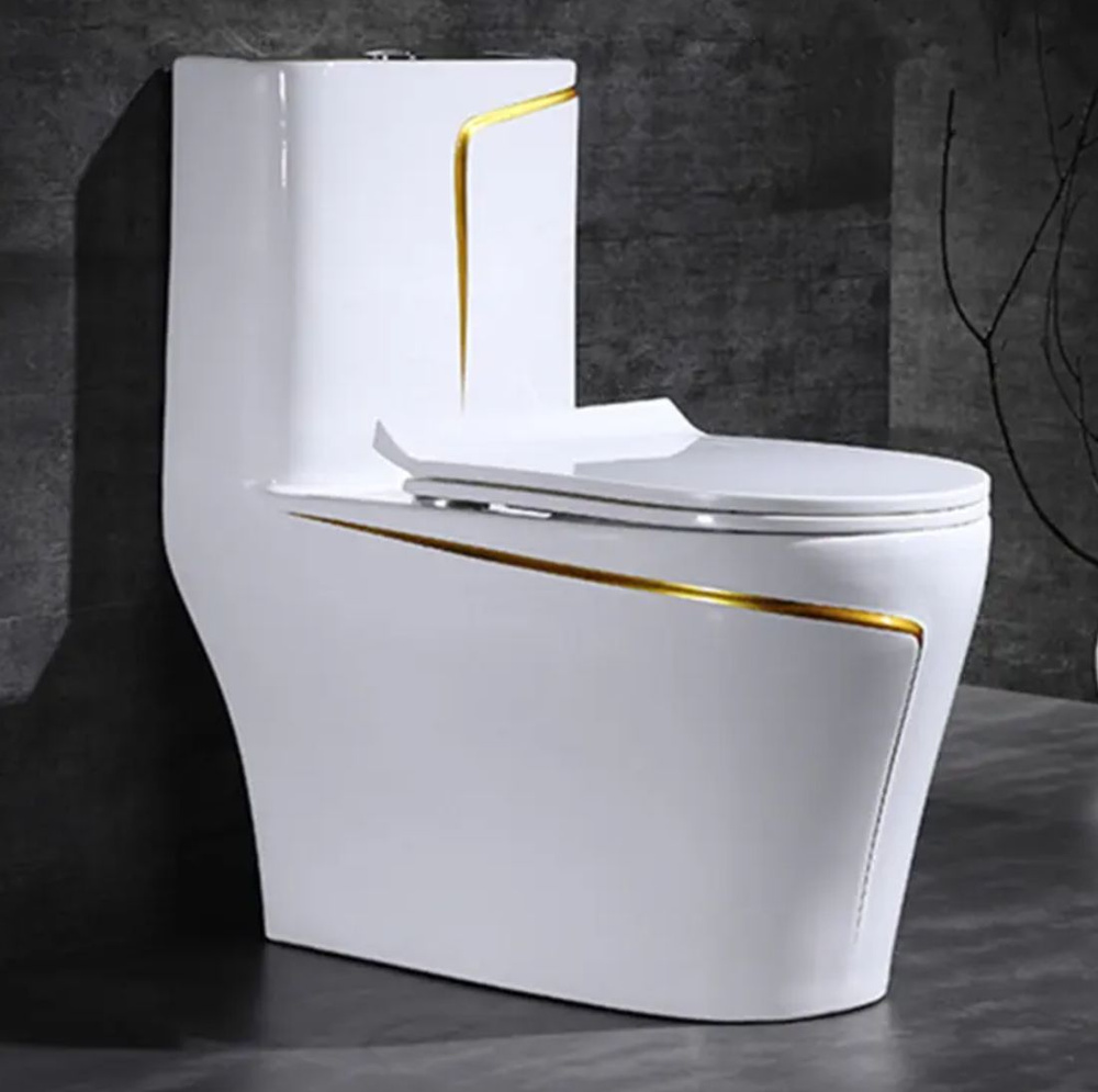 Унитаз-моноблок Zandini BARI Z19-19W белый купить на OZON по низкой цене (2370479388)