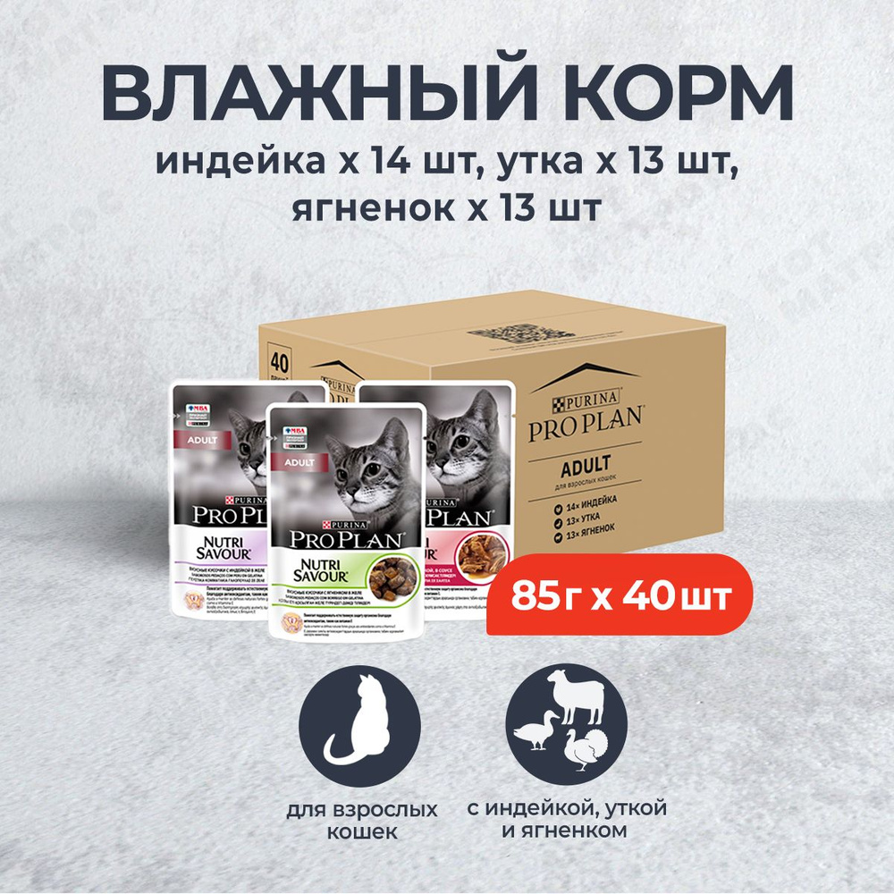 Purina Pro Plan набор паучей для взрослых кошек, с индейкой в желе, с ...