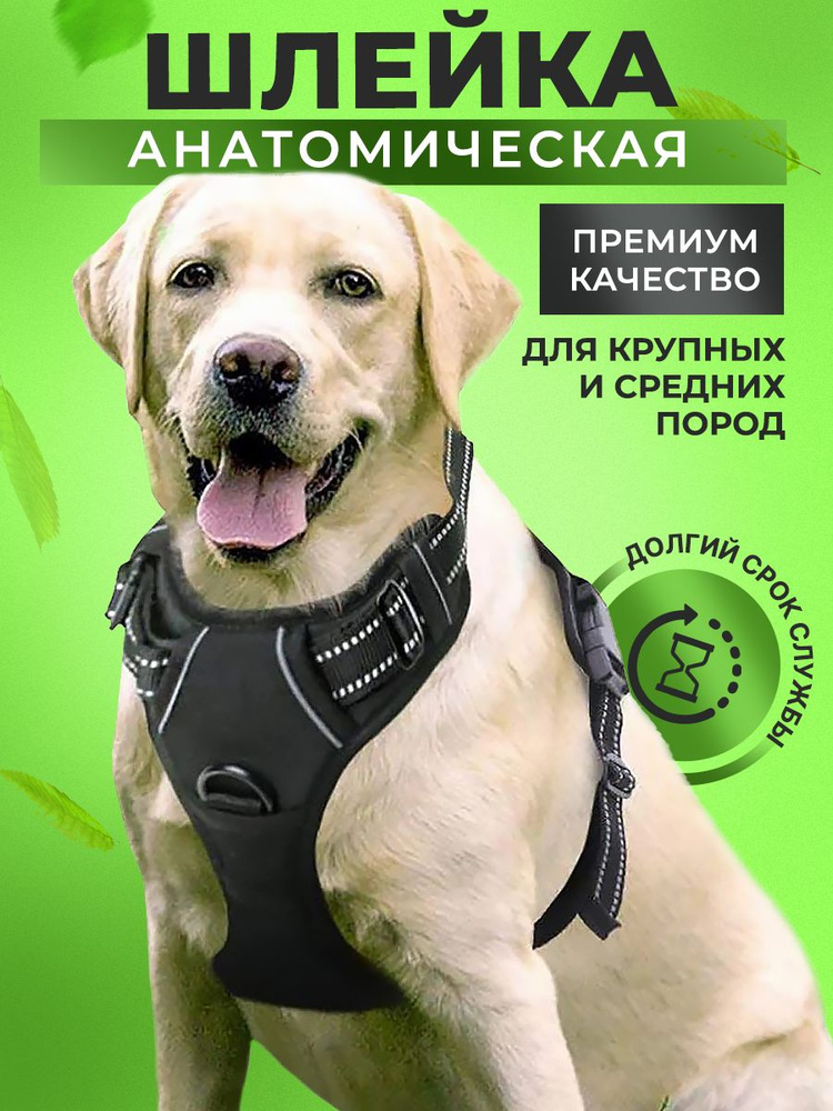 Шлейка для собак средних и крупных пород анатомическая - купить с ...