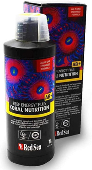 Read Sea – купить на OZON по низкой цене