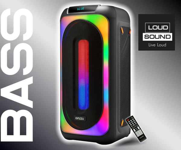 Портативная беспроводная блютуз колонка / Акустическая система MIDI Ginzzu GM-214 с Bluetooth ...