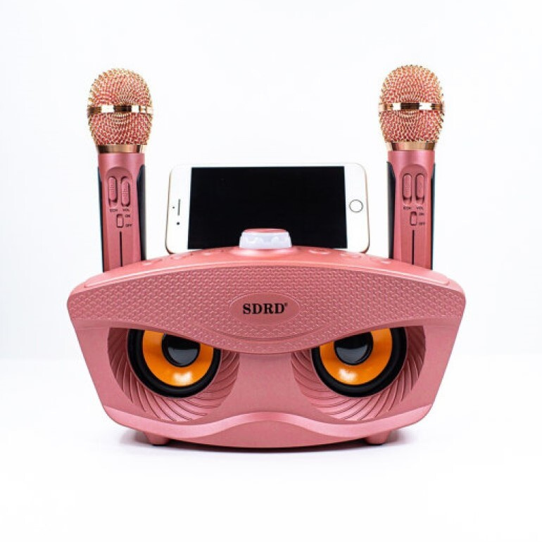 Караоке система беспроводная SDRD-306 Розовая - купить с доставкой по выгодным ценам в интернет ...