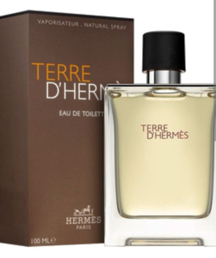 Hermes гермес терре Вода парфюмерная 100 мл (1224260996)