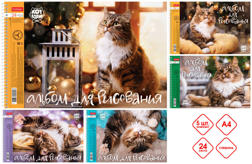 Набор альбомов для рисования Hatber 24 листа, формата А4, перфорация на отрыв, на спирали, 5 ...