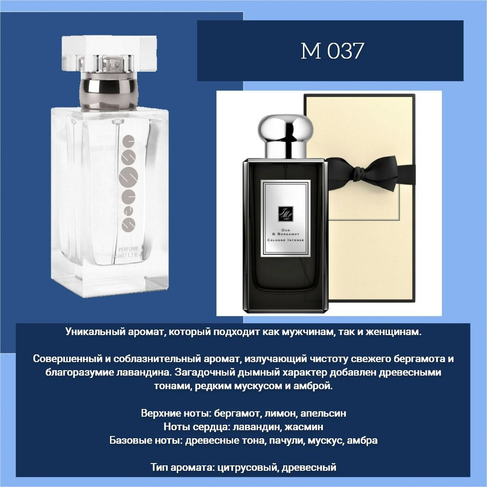 Essens Духи мужские по мотивам Oud & Bergamot 50 мл, Парфюмерия для мужчин купить на OZON по ...