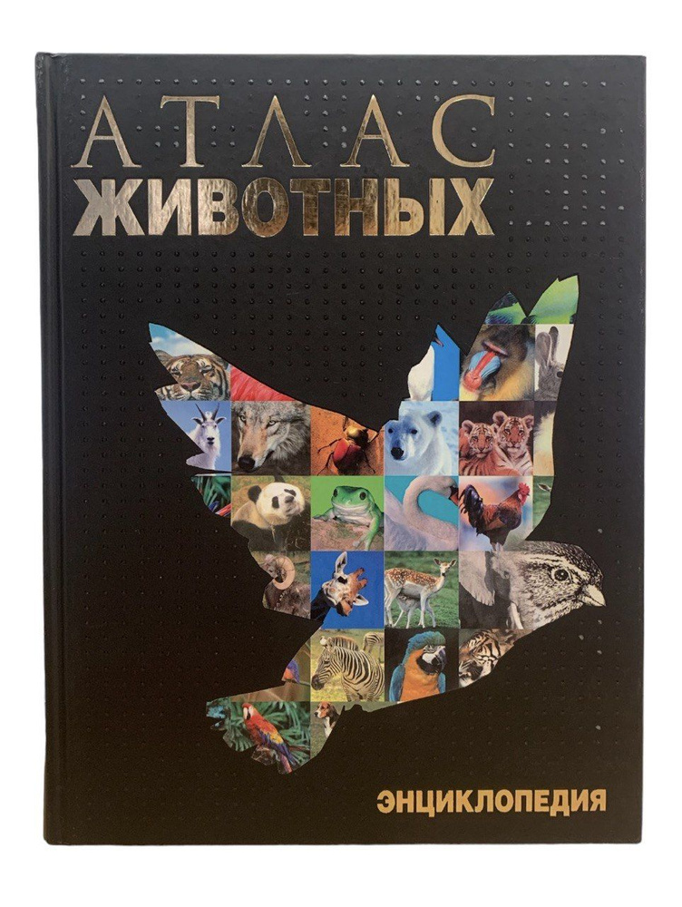 Атлас животных. Энциклопедия - купить с доставкой по выгодным ценам в ...