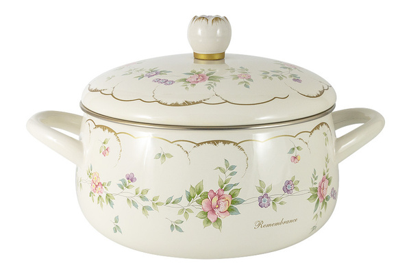 Ejiry Кастрюля, Эмалированная сталь, 2,9 л купить на OZON по низкой цене (3038271656)