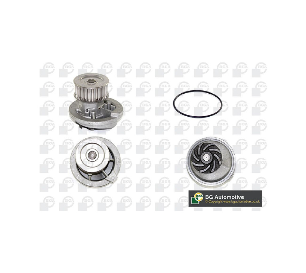 BGA Насос водяной, арт. CP2894 купить на OZON по низкой цене (1462209482)