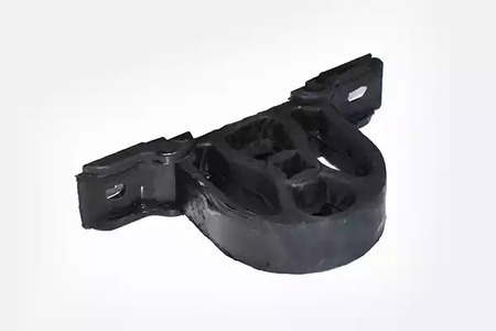 55565ASAM_кронштейн глушителя / BMW X5 (E53) 3,0d 03> ASAM 55565 ...