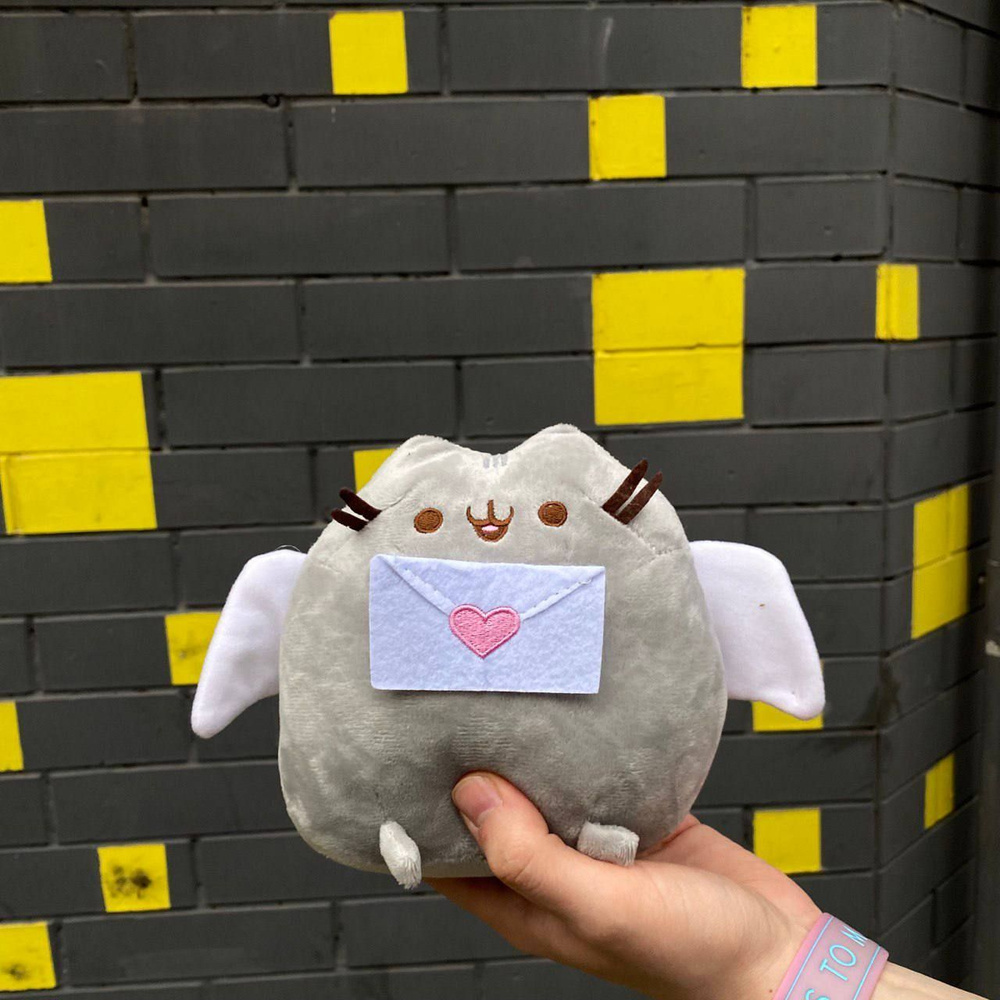 Мягкая игрушка Пушин с письмом (Pusheen Cat) 15 см - купить с доставкой ...