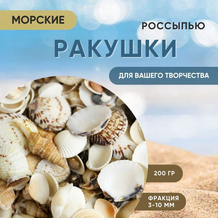 Ракушки морские натуральные купить на OZON по низкой цене (1099751953)